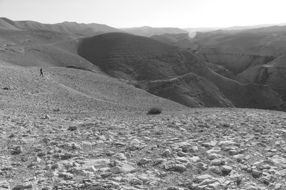 Pilgrim Land – ENCOMIA